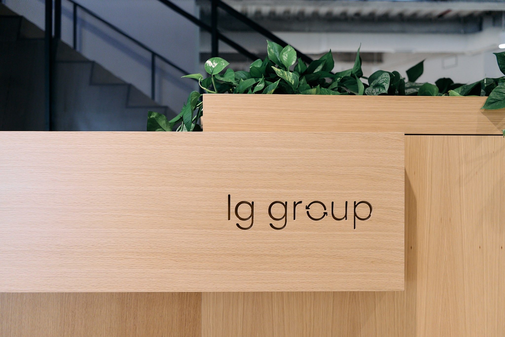 Portfolio - LG Group